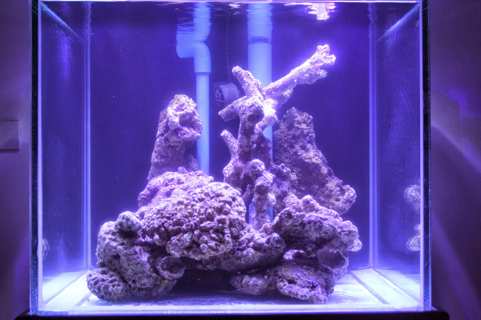 L'aquarium d'eau de mer sous les tropiques: Installation des pierres ...