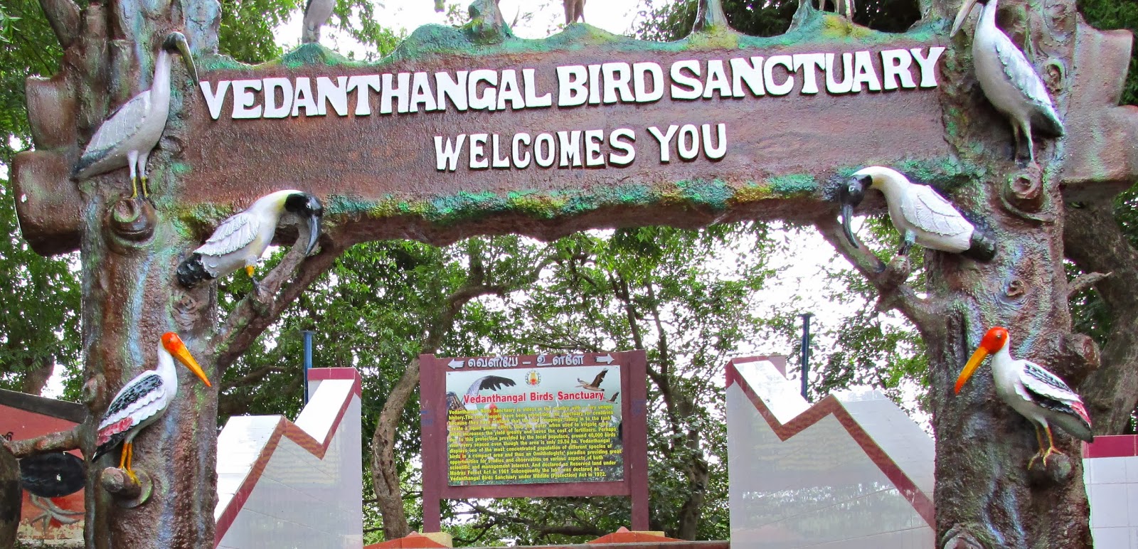PhOto SyntHesiS: Vedanthangal Bird Sanctuary