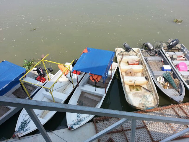 yaya ayarus: Sampan/bot untuk disewa di Teluk Intan :)