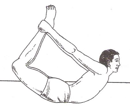 An Indian Blog: Asana poses of the yogi