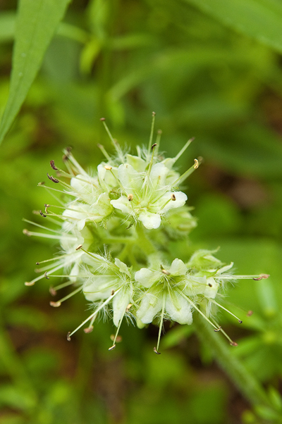 Every Villain Needs a Hideout: May 2011