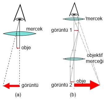 Prof. Dr. Bilsen Beşergil: Optik Mikroskop (optical microscope)
