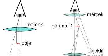 Prof. Dr. Bilsen Beşergil: Optik Mikroskop (optical microscope)