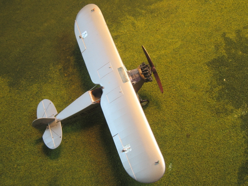 Wings of Intent: Scratchbuilt Ryan M-1 completed