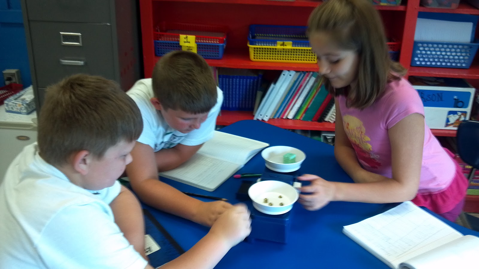 Lights, Camera, Learn: Balance Scales