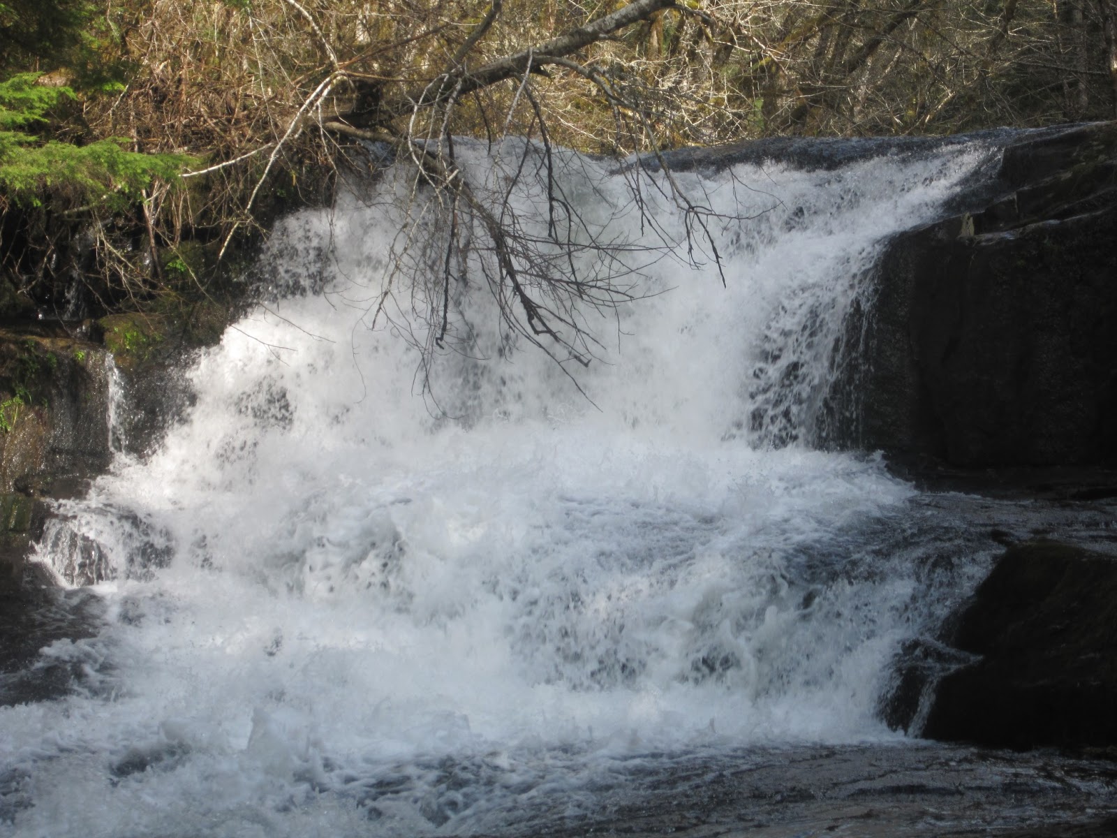 Adventures With Bud E. : Best of Three Falls