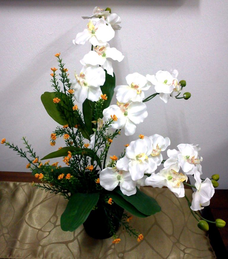 Nursaila Norman: Orkid :)