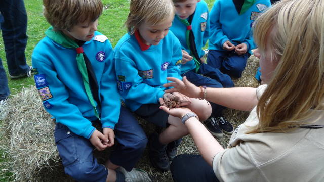 3rd Ware Scout Group: May 2012