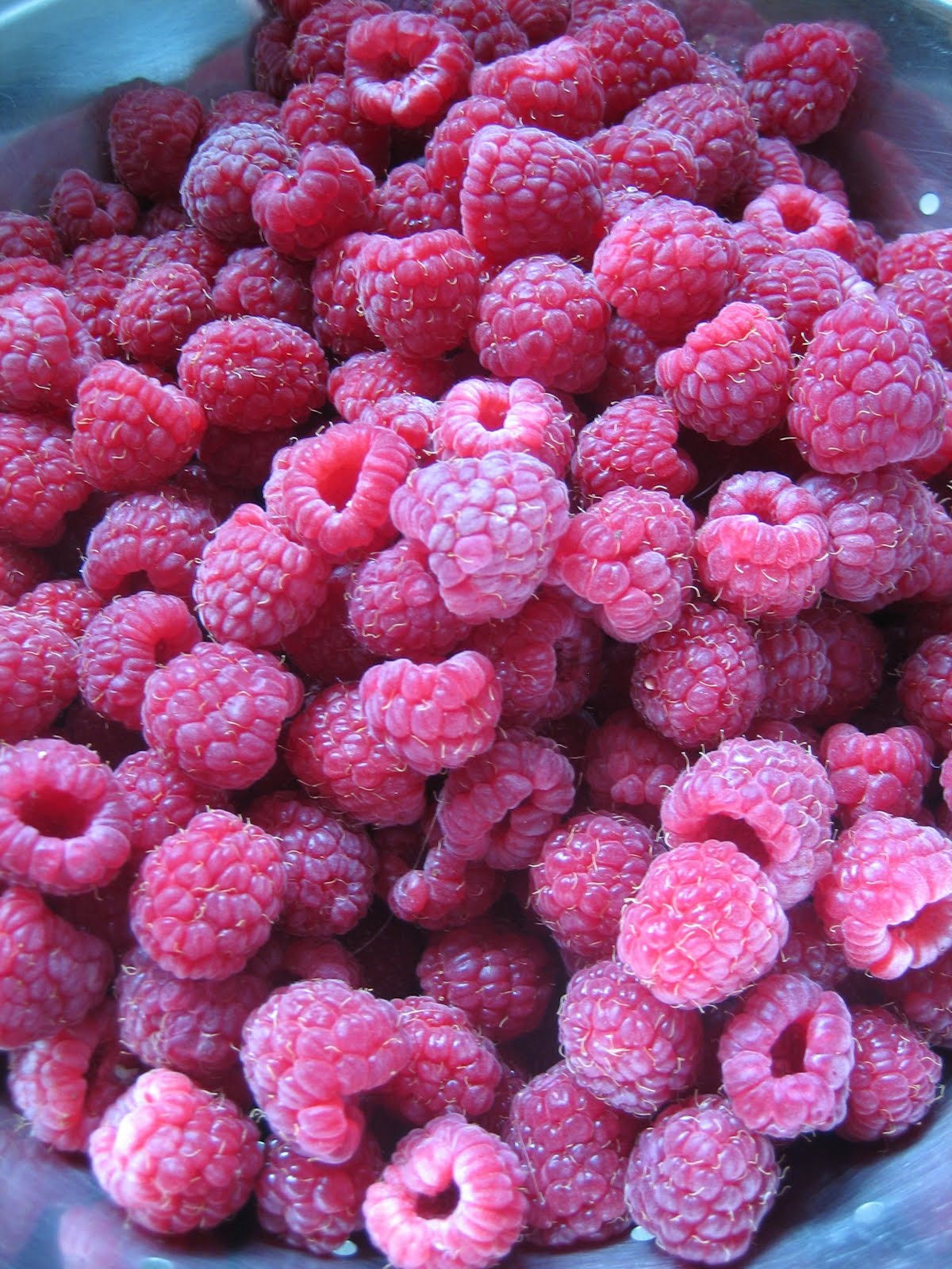 Equal Opportunity Kitchen: July 2011