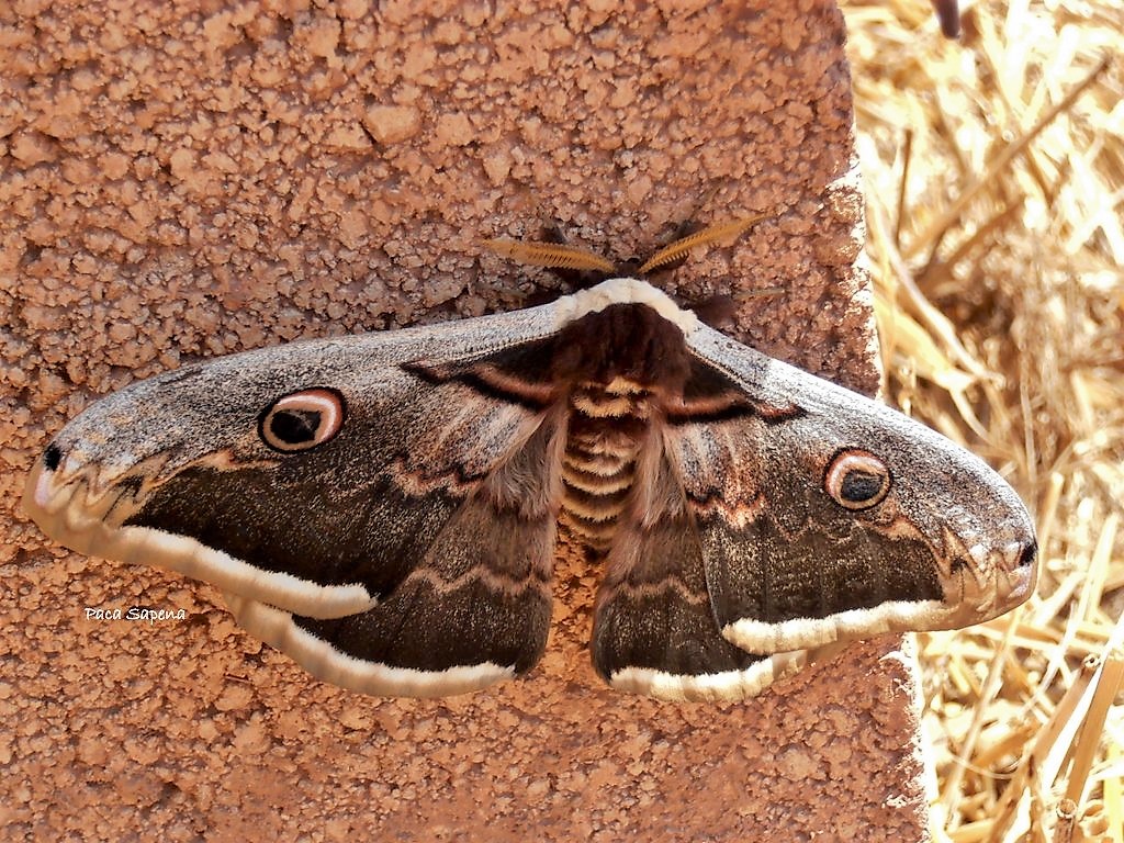 La Rioja de la A a la Z: abril 2017