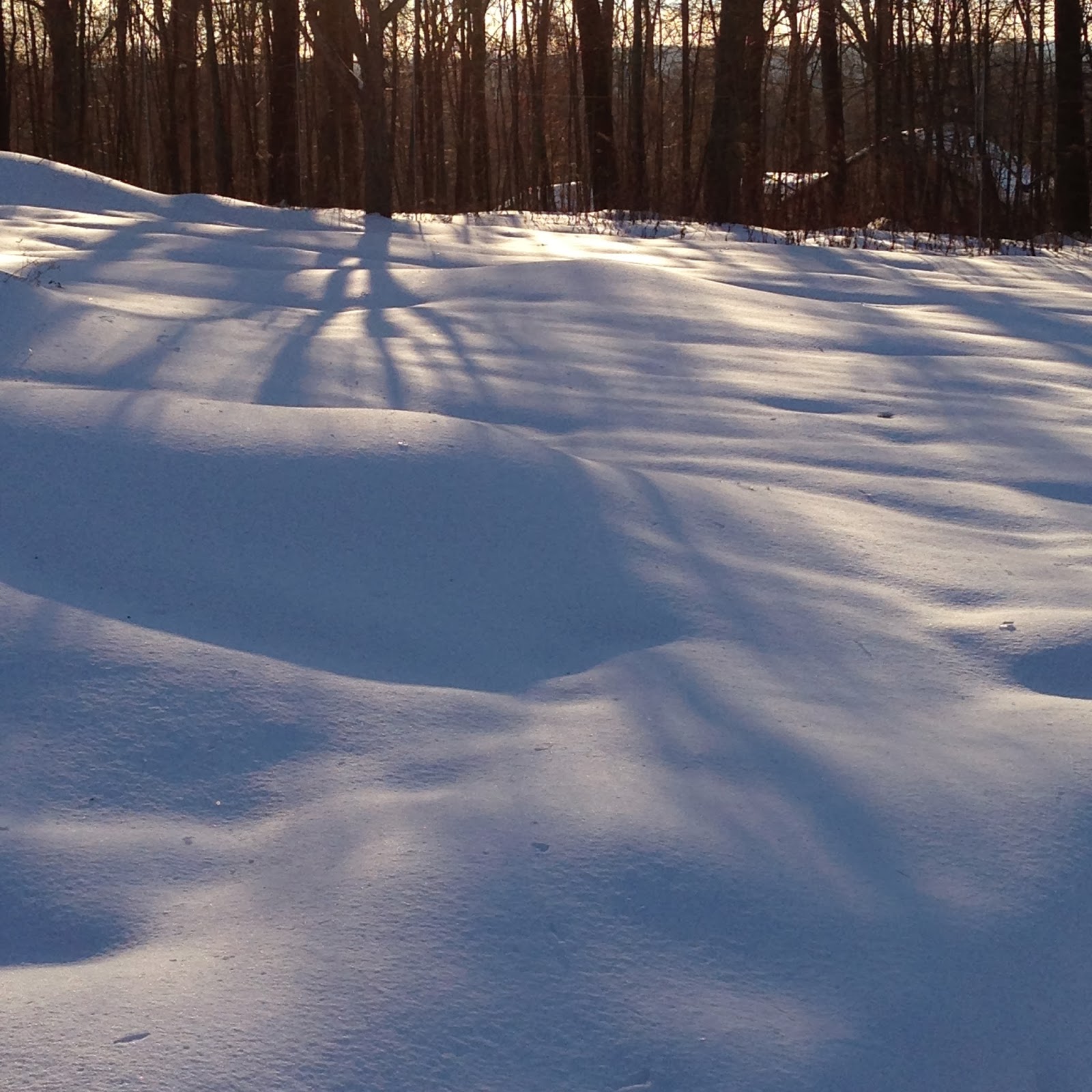 A Life Inspired by Nature: Abstract snow