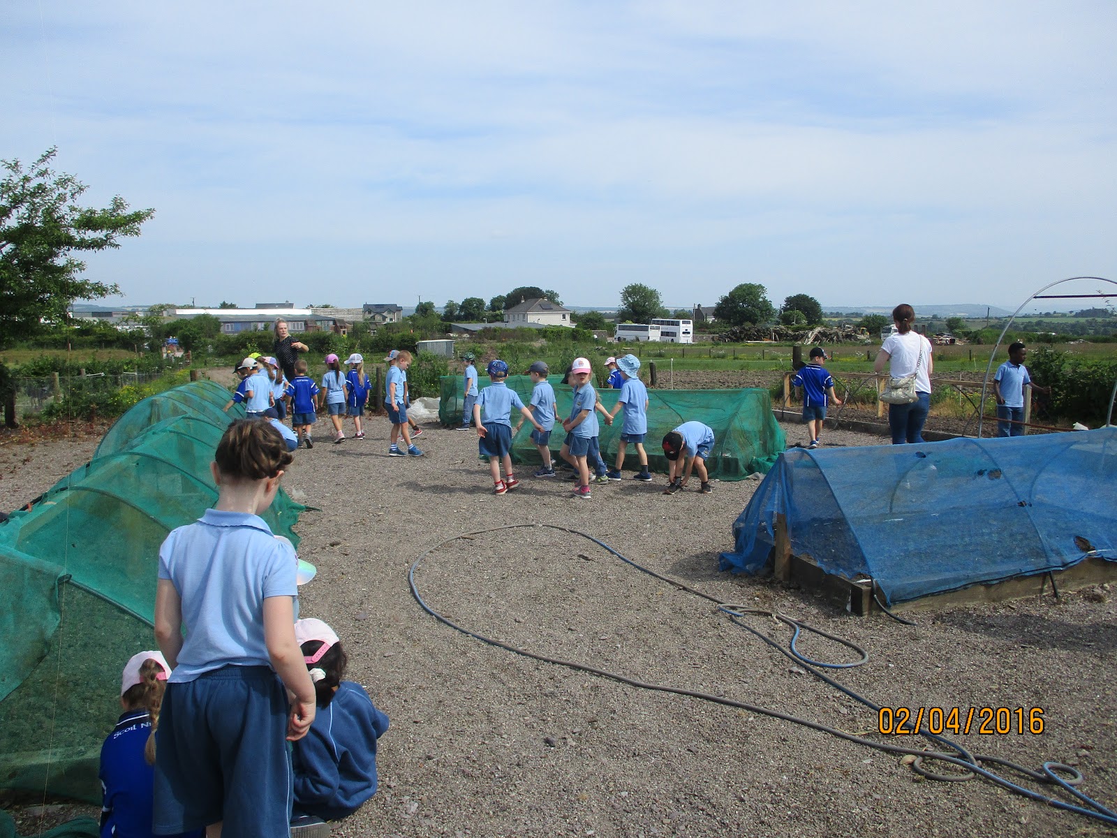 Junior Infants Scoil Nioclais
