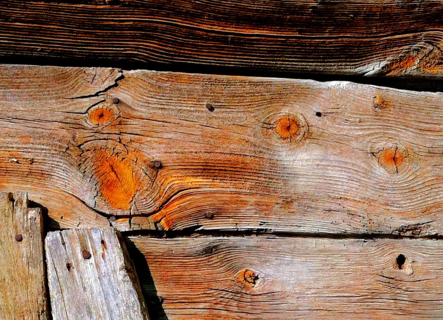 fotos-profe: Madera vieja