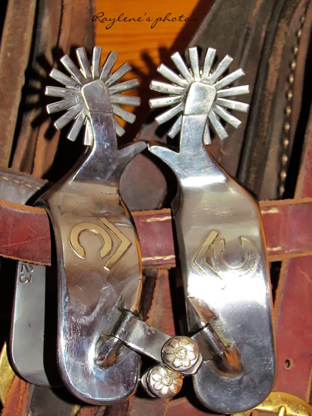 Cowboy Custom Spurs: January 2014