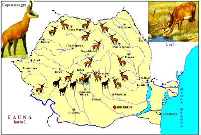 Save the planet!: Fauna României:hărţi cu răspândirea geografică a ...