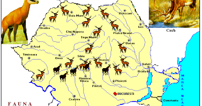 Save the planet!: Fauna României:hărţi cu răspândirea geografică a ...