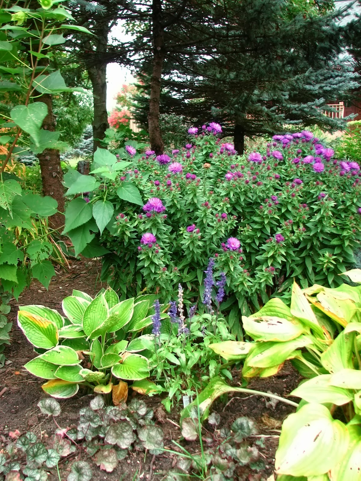 Mermaid At Frog Hollow: Tip toeing with Tootsie Oct 4th