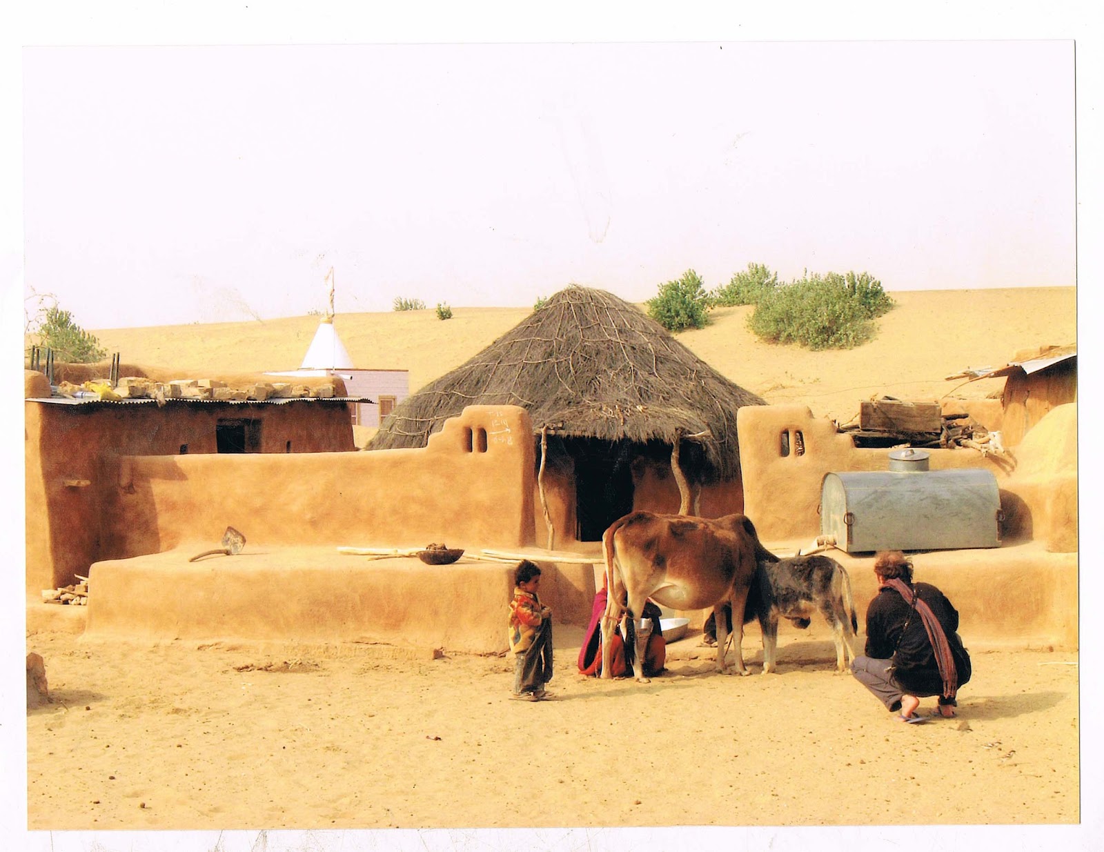 AMARGARH HOTEL JAISALMER: thar desert life style in jaisalmer rural ....