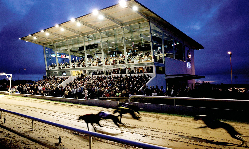 Greyhound Racing Grass Roots : The Irish Independent Irish Laurels