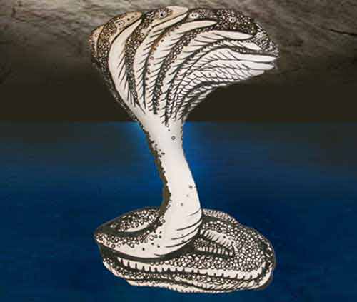 Story of Origin of Yoga in Hinduism - Secret Behind Snake Head Image of ...