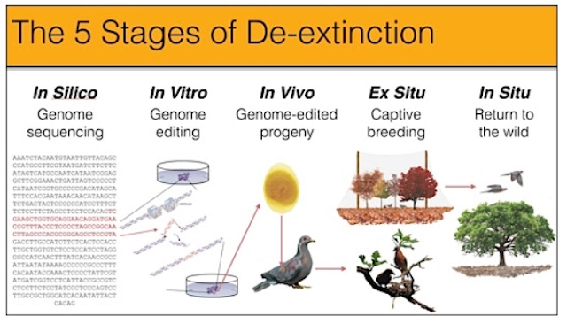 English is my true lifelong fluency project!: Summary 18: Tasmanian ...