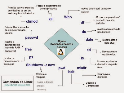 Passando nas vagas: Principais comandos do Linux e suas funções