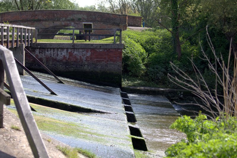 FreeSpirit : Chelmer and Blackwater canal