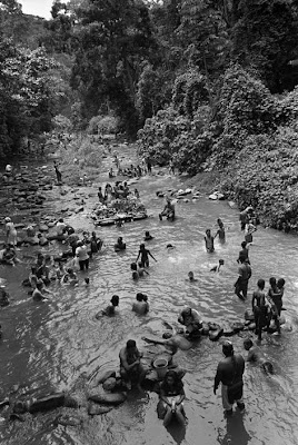 solitary dog sculptor: 08/11/13