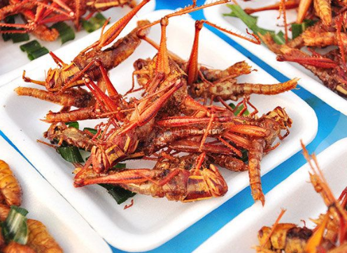 Adobong Tipaklong - best food recipe