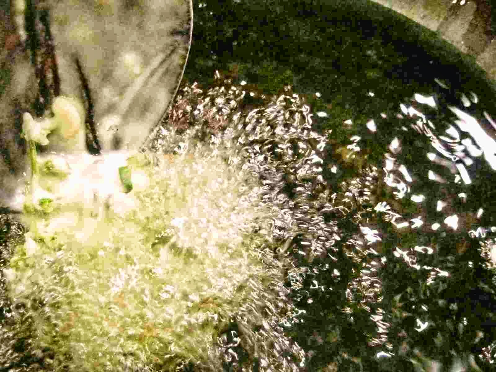 Recipes for Tom: Hanaho to kobashira no kakiage / mixed tempura with ...