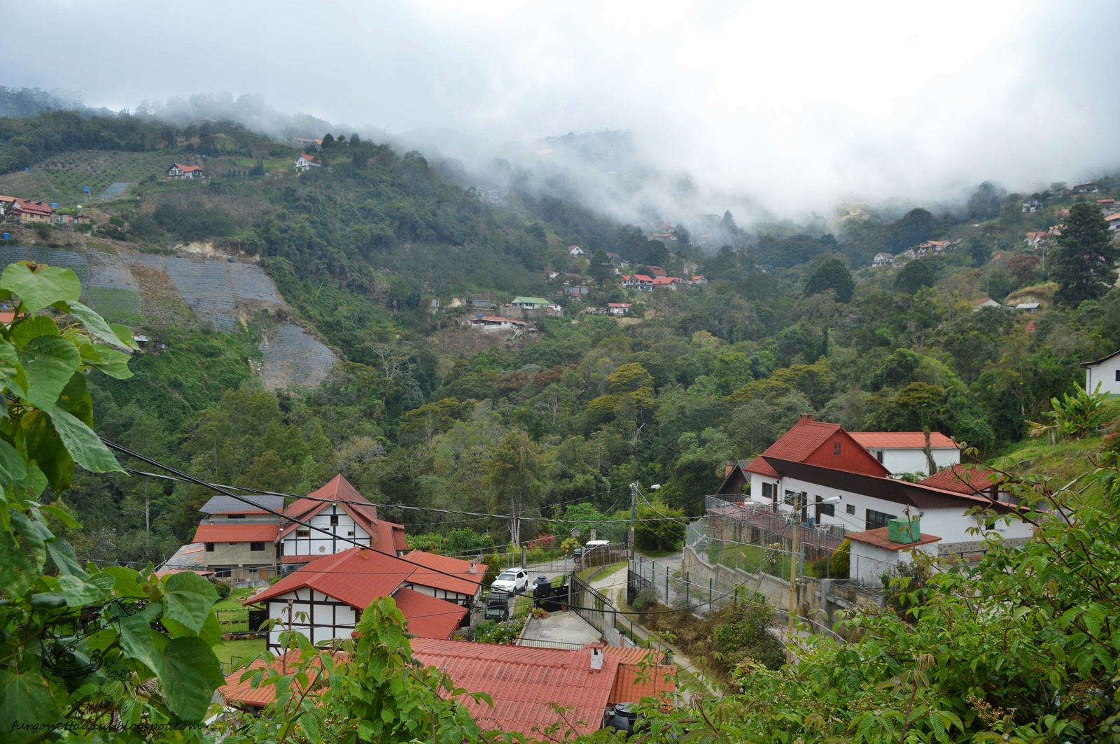 FURGONETA AZUL: COLONIA TOVAR.