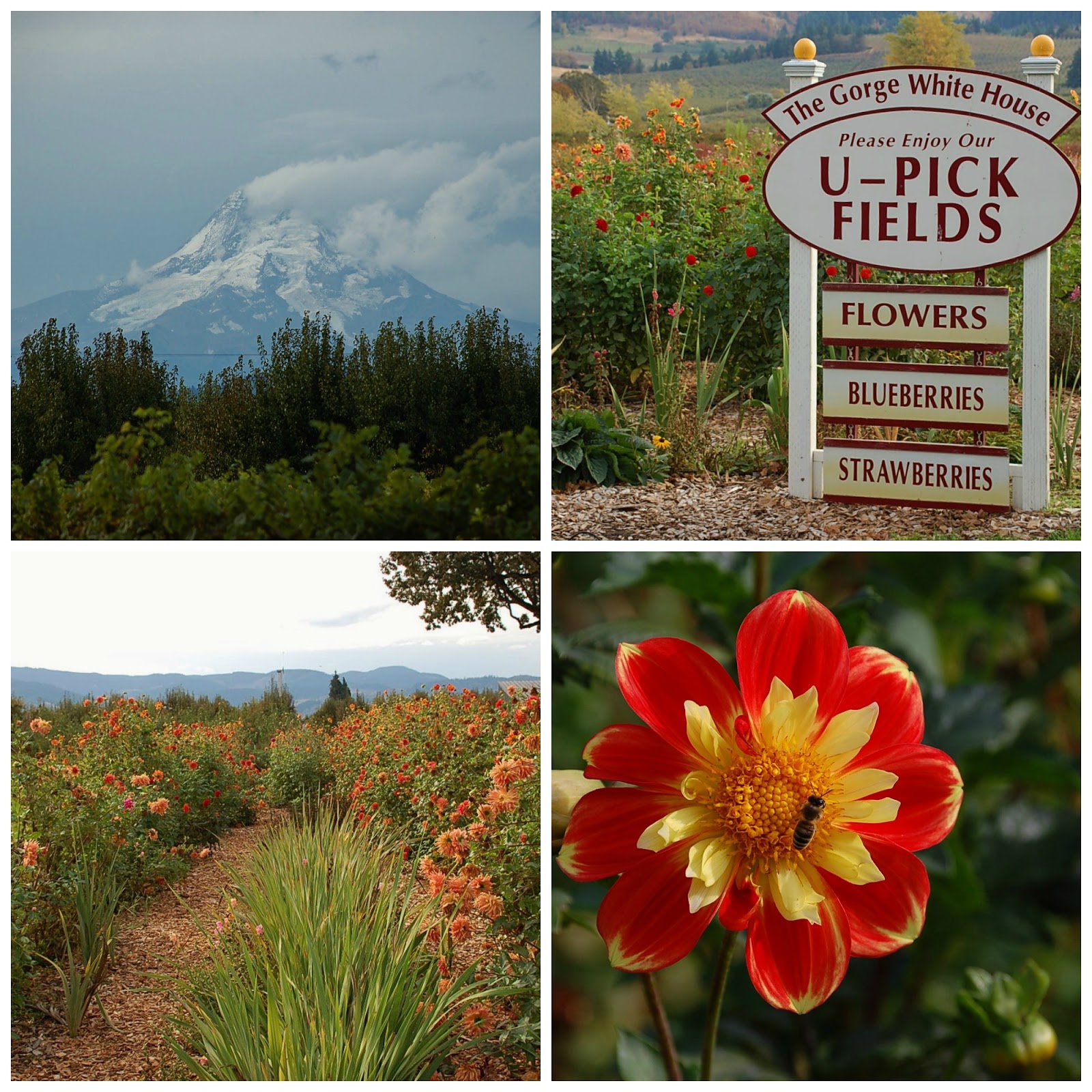 Maybe It's Just Me: Waterfalls Galore