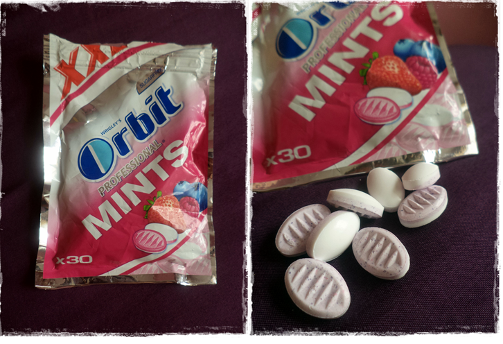 Orbit Professional Mints Forest Fruit XXL & Skittles | Testolandiaa