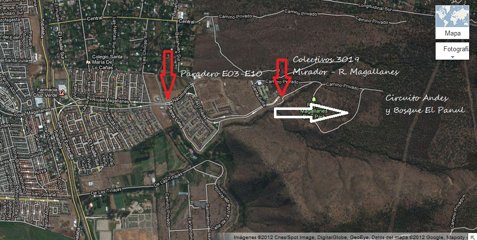 El descanso en lo profundo: Bosque El Panul