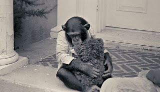 Surrender to the Void: Project Nim