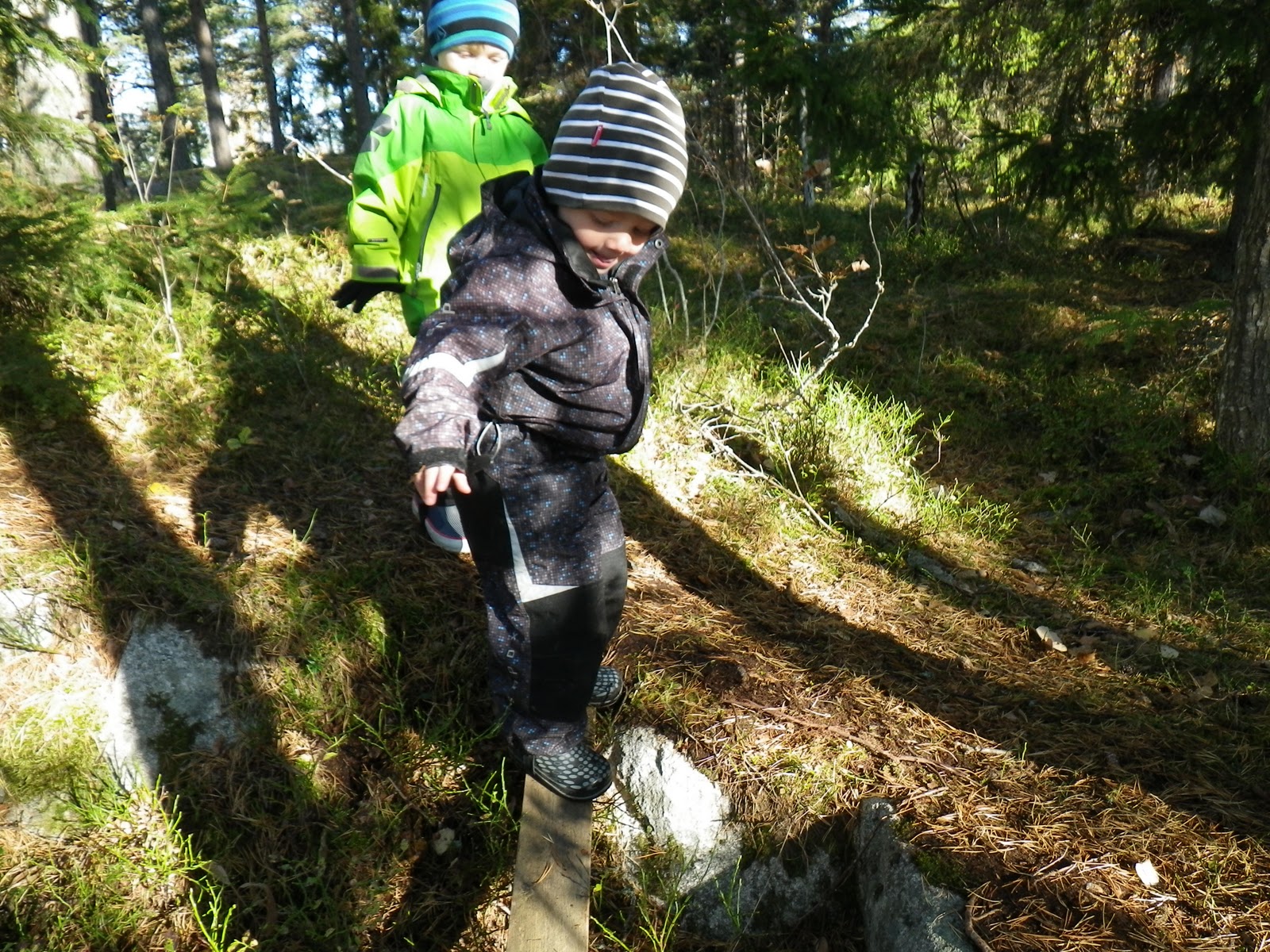 Med barnet i fokus: Skogen som inspiration för lärande