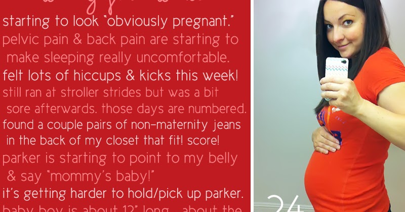 a good life.: twenty-four weeks. bumpdate!