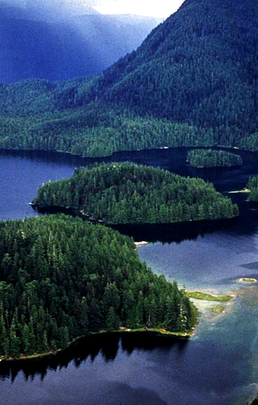 The Great Bear Rainforest, Canada | Holidayspots4u