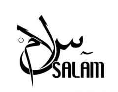 whats ruling on doing salaam and replying to salaam to ladies for males ...