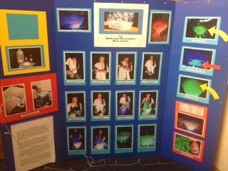 Justice Street School: Example of the science display board!
