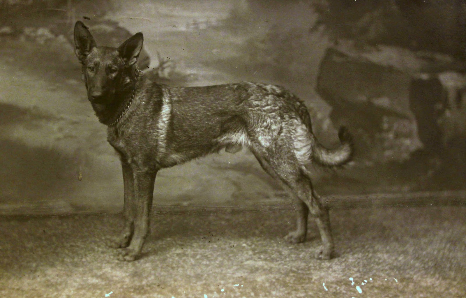 Teräsvillan pumit: 2016