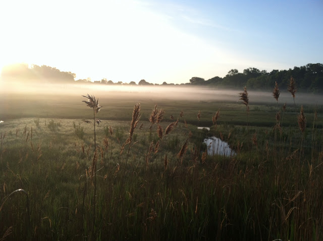 Tell Me a Story: Breathing Room