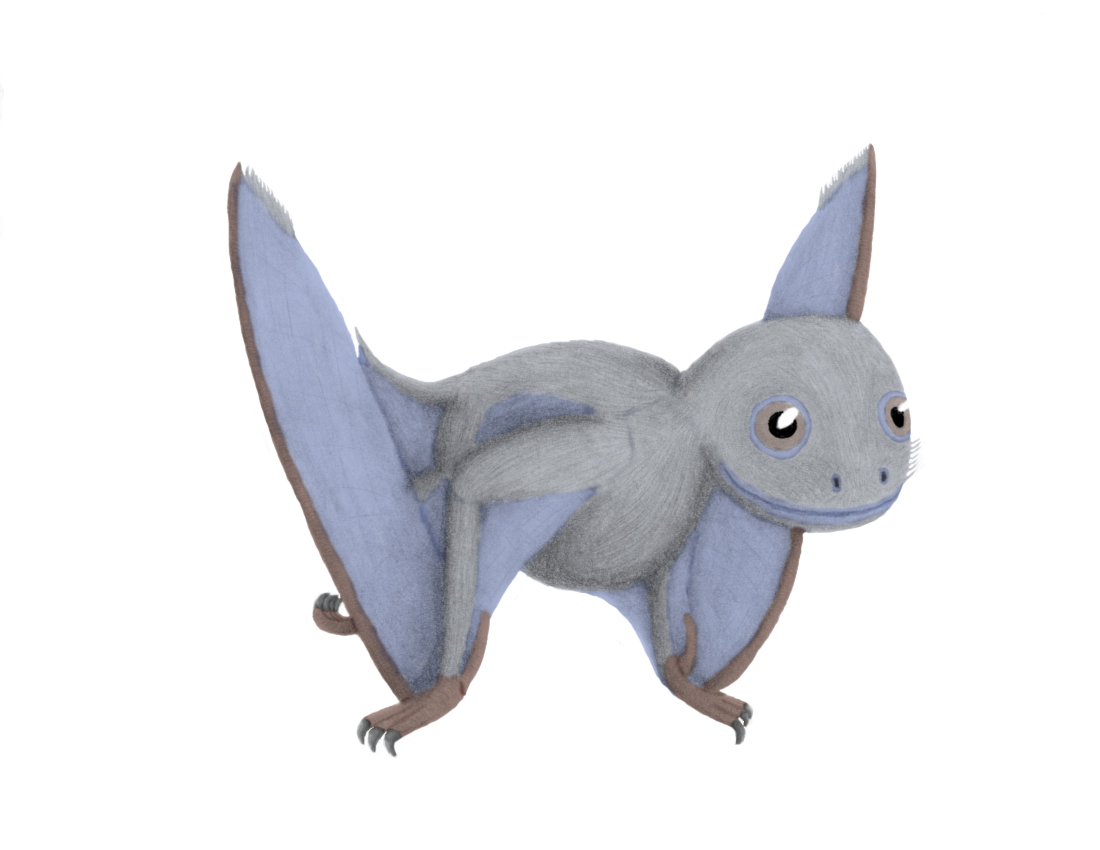 Sounder Art: Anurognathus ammoni