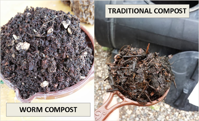 A Step in Thyme: Compost Chronicles