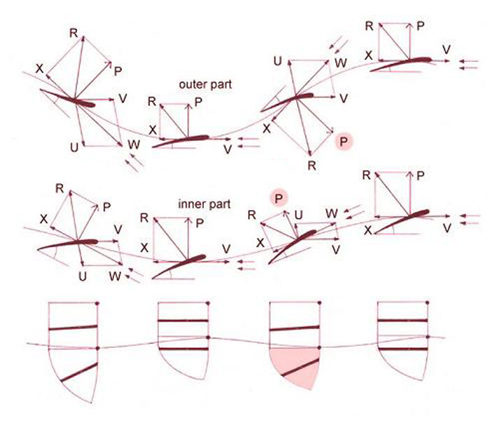 Flapping Wing: Basic properties of the flapping wing and features of ...
