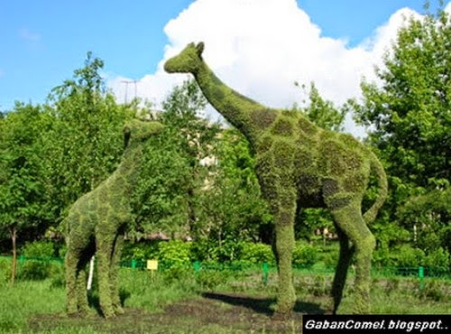 9 Gambar Bentuk Patung Yang Unik Diperbuat Dari Rumput Yang Menakjubkan ...