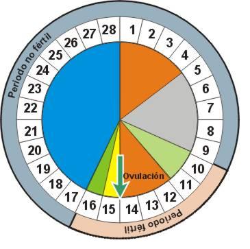 Metodos Anticonceptivos: ¿Qué es y cómo funciona el método ...