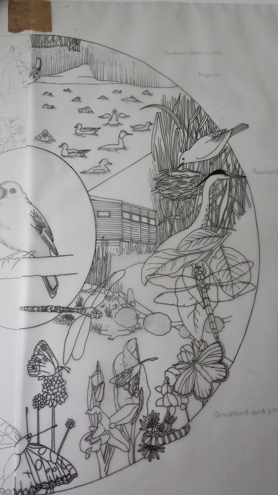 The Natural Year: Now on to the tracing process