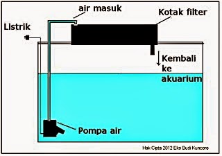 Mengenal Pompa Aquarium Dan Cara Kerjanya - Arreza MP