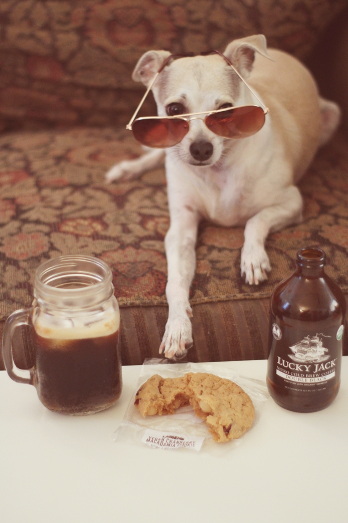 HAPPYHAZEL: Coffee and Cookie with Style...for Mondays, Not for Dogs